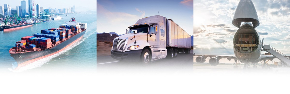 Ramon Insurance: By Iris Arden